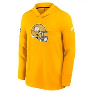 Nike Pittsburgh Steelers Alt Dri-fit Nfl Long-sleeve Hooded Top - Brown