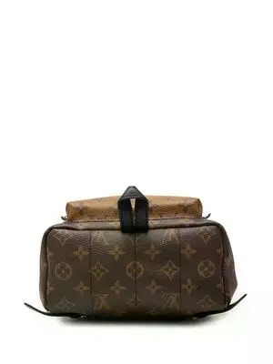 LOUIS VUITTON Palm Springs Pm Backpack - Brown