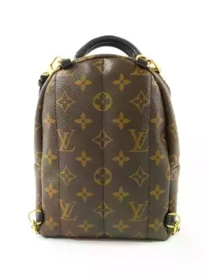 LOUIS VUITTON Palm Springs Mini Backpack - Brown