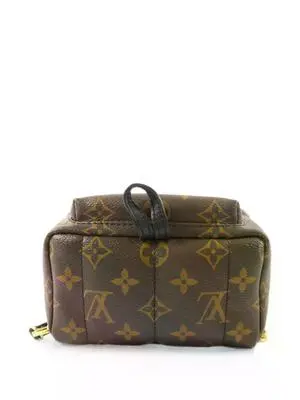 LOUIS VUITTON Palm Springs Mini Backpack - Brown