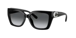 COACH Sunglass Cw195 Grey Gradient Polarized