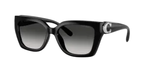COACH Sunglass Cw195 Grey Gradient