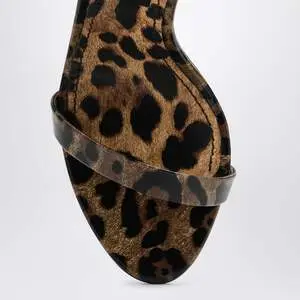 Dolce & Gabbana Keira Leopard-print Leather Sandals