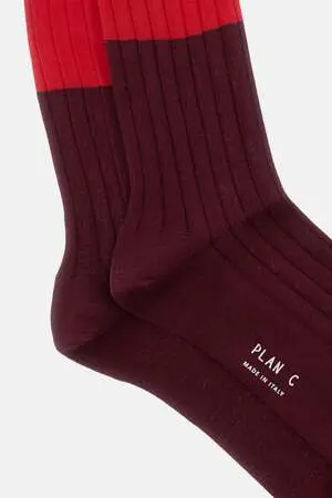 Plan C Two-tone Ribbed Socks