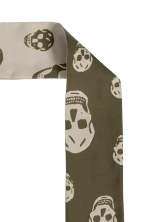 Alexander McQueen Scarf With Print