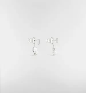 Dior Dioevolution Earrings