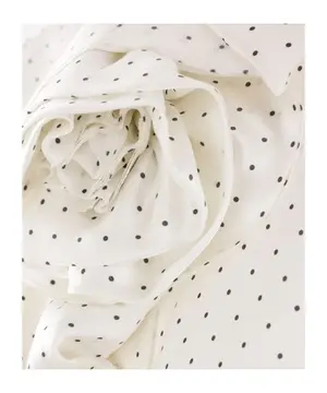Ermanno Scervino Polka Dot Printed Long-sleeved Shirt