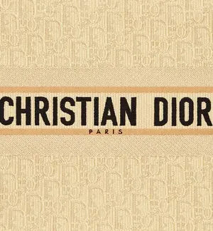Dior Medium Book Tote
