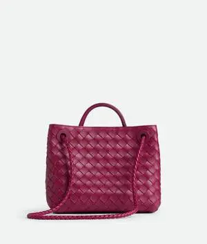 Bottega Veneta Andiamo Small Tote Bag
