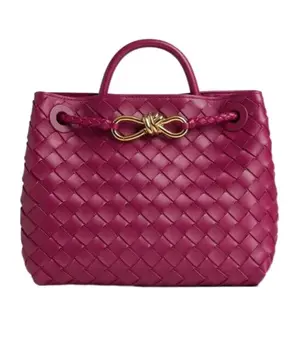 BOTTEGA VENETA Bottega Veneta Andiamo Small Tote Bag