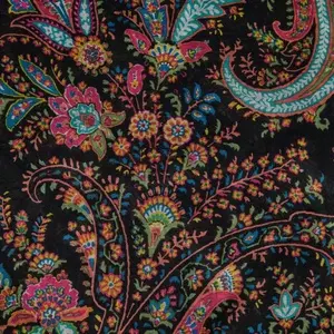 Etro Printed Scarf