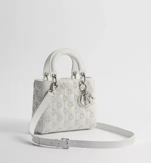 Dior Small Lady Bag With Strap