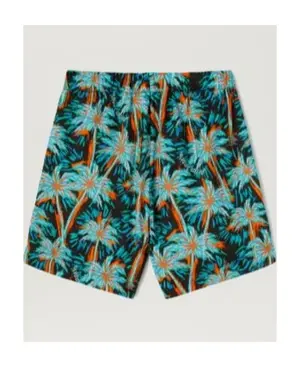 Palm Angels Palm Tree-print Cotton Shorts