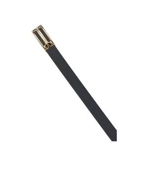 Victoria Beckham Jumbo Frame Belt
