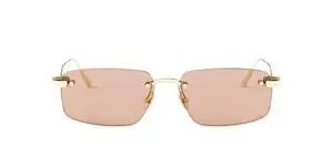 Dior Cdior S4u Rectangular Frame Sunglasses