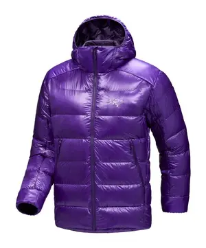 Arc'teryx Cerium Sv Down Jacket - Purple