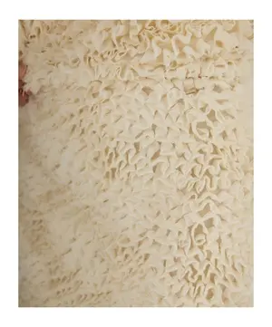 Herno Georgette Straight Skirt