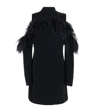 P.a.r.o.s.h Long Sleeve Dress With Feather Detail