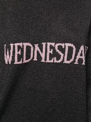 Alberta Ferretti Wednesday Knit Jumper