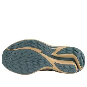 Mizuno Wave Rider Tt 3 'curds Whey