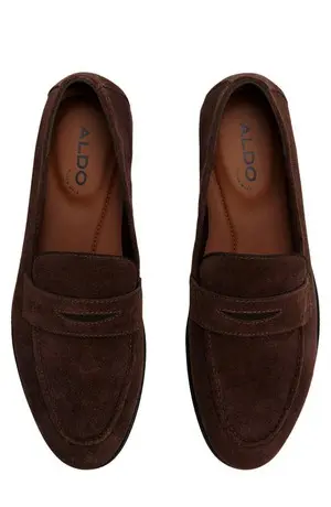 Aldo Radisson Penny Loafer