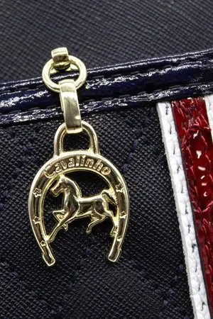 CAVALINHO Prestige 249 Backpack