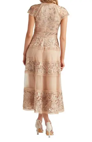 Tadashi Shoji Lace And Mesh Midi Dress