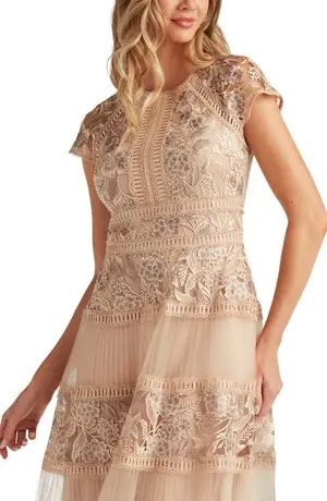 Tadashi Shoji Lace And Mesh Midi Dress
