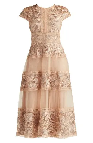 Tadashi Shoji Lace And Mesh Midi Dress