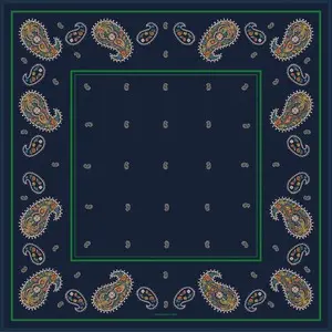 JESSIE ZHAO NEW YORK Paisley Nocturne Double Sided Silk Scarf - Blue