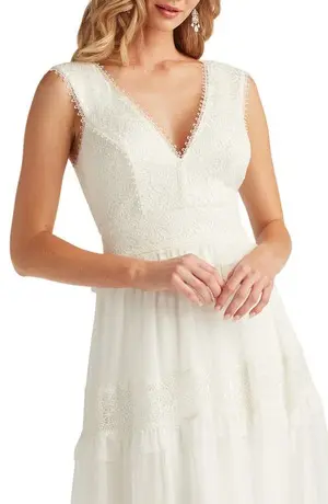 Tadashi Shoji Lace Sleeveless Chiffon Gown