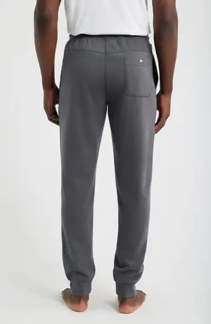 Daniel Buchler Performance Knit Joggers
