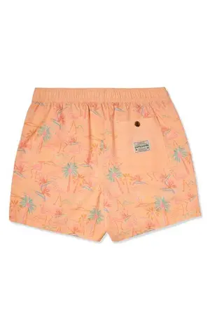 PARTY PANTS 5-inch Swim Trunks