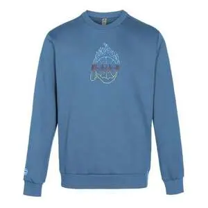 Adidas Graphic Sweatshirt
