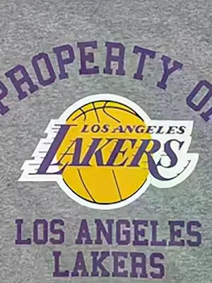 ERIC EMANUEL X Nba Los Angeles Lakers Hoodie - Grey
