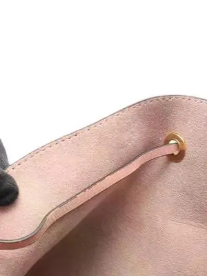 LOUIS VUITTON 2010s Néonoé Monogram Bucket Bag
