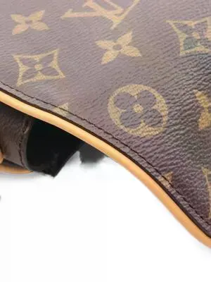LOUIS VUITTON Monogram Camille Shoulder Bag