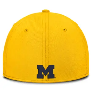 JORDAN Brand Michigan Wolverines Baseball Cap