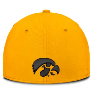 Nike Iowa Sideline Rise Dri-fit College Hat