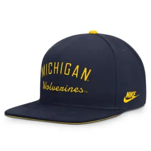 Nike Michigan Legacy Pro Dri-fit College Adjustable Hat - Blue