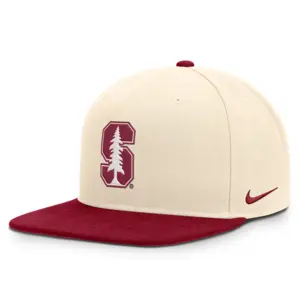 Nike Stanford Campus Prep Dri-fit College Adjustable Hat - Brown