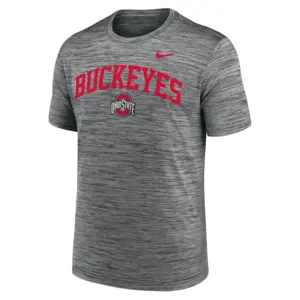 Nike Ohio State Primetime Arch Logo Velocity Dri-fit College T-shirt - Grey