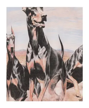 REPRESENT Western Dobermans Graphic Hoodie