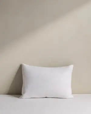 Quince Premium Feather Pillow Insert, Down