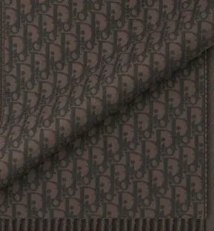 Dior Oblique Double-sided Scarf