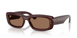 Ray-ban Rb4944 - Transparent Dark Brown