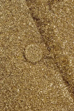 Rabanne Metallic Tinsel Jacket