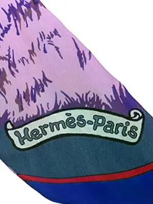 Hermès 2000-2026 Les Zebres Silk Twilly Scarf Scarves