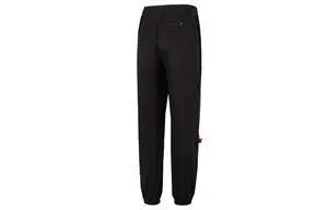 PUMA Team Badge Regular Track Pants