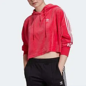Adidas Originals Cropped Velour Hoodie